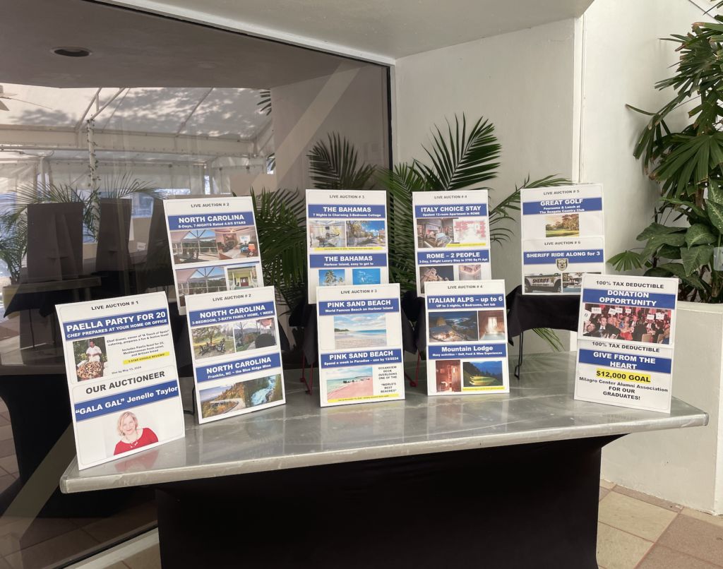 An easy Live Auction display | GALA GAL, Inc. Future-Focused ...